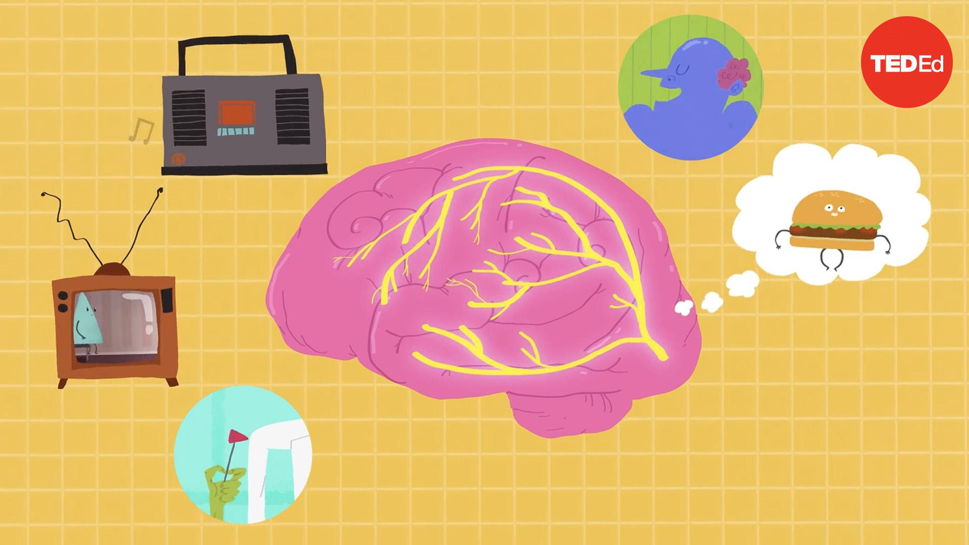 ¿Qué tan rápida es la velocidad del pensamiento? – KW Foundation